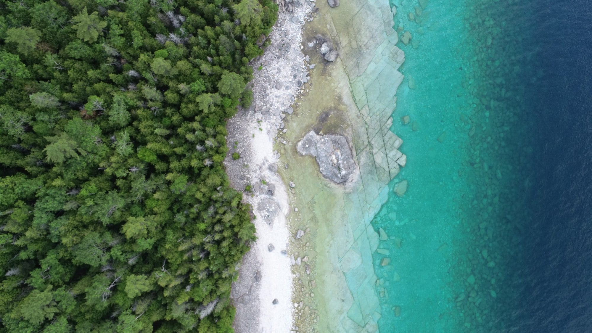 Eastern Canada Biostratigraphic Database: Orphan Basin - PetroStrat